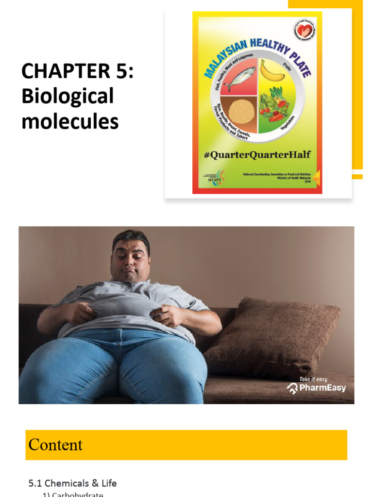 IGCSE BIOLOGY: Biological Molecules | Download Free PDF | Carbohydrates ...