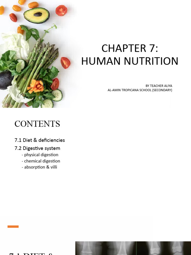 IGCSE Human Nutrition Overview | PDF | Digestion | Small Intestine