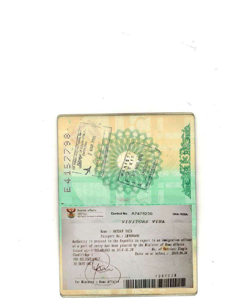 Travel History Visas | PDF