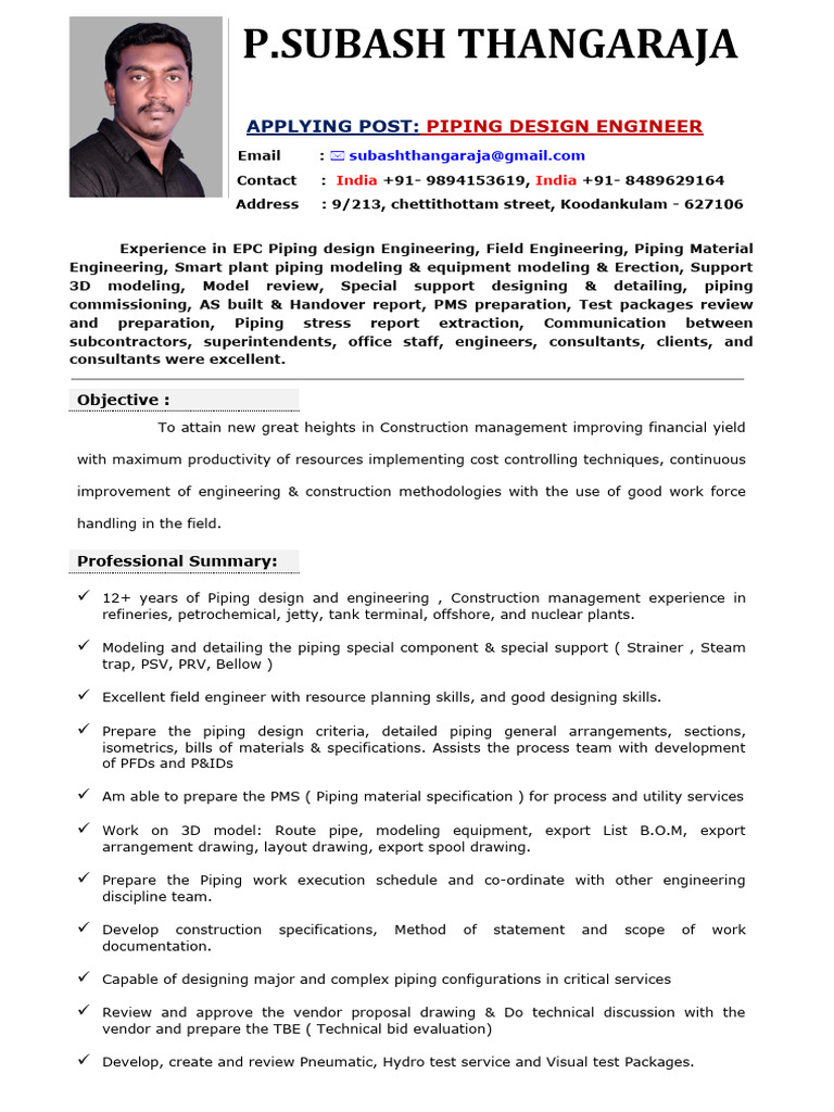 Piping Design Engineer Profile | PDF