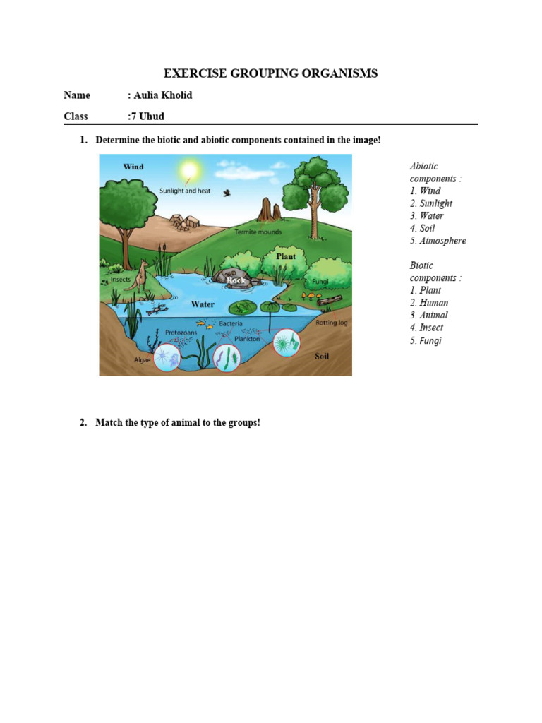 Exercise Grouping Organisms | PDF | Science & Mathematics Exercise Grouping Organisms | PDF | Science & Mathematics