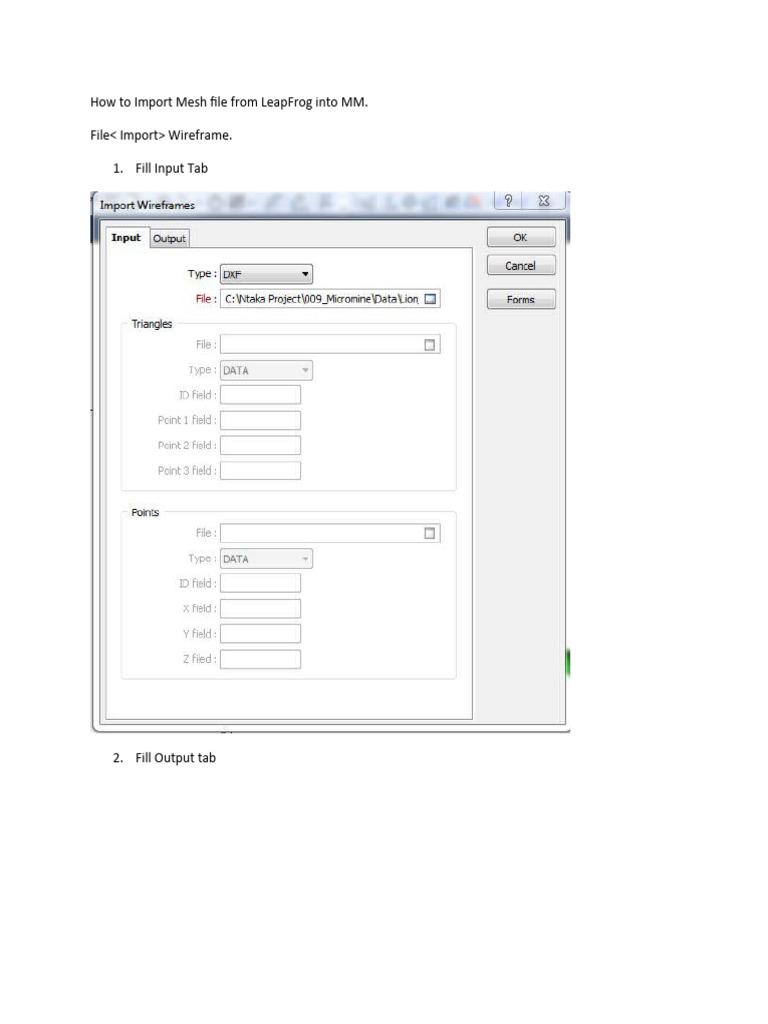 Importing Mesh Files Guide | PDF
