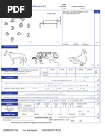 Test MoCA Version 8.3 en Français | PDF