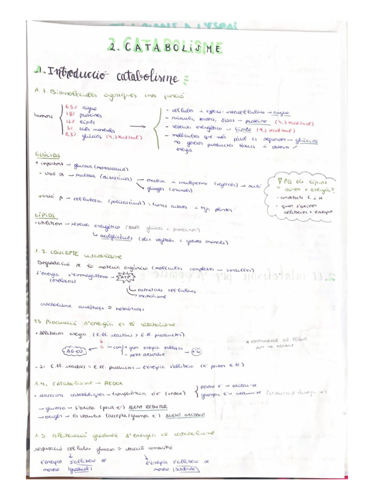 Resum I Esquema | PDF