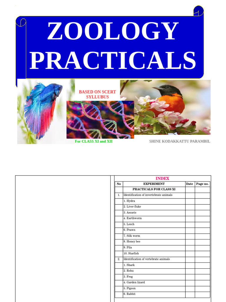 Zoology Practicals 2023 - 24 Updated Add | PDF | Human Digestive System ...