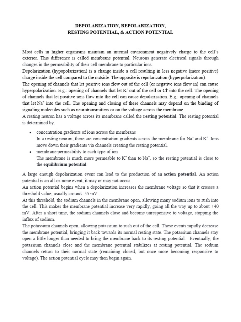 Resting & Action Potential | PDF | Membrane Potential | Depolarization