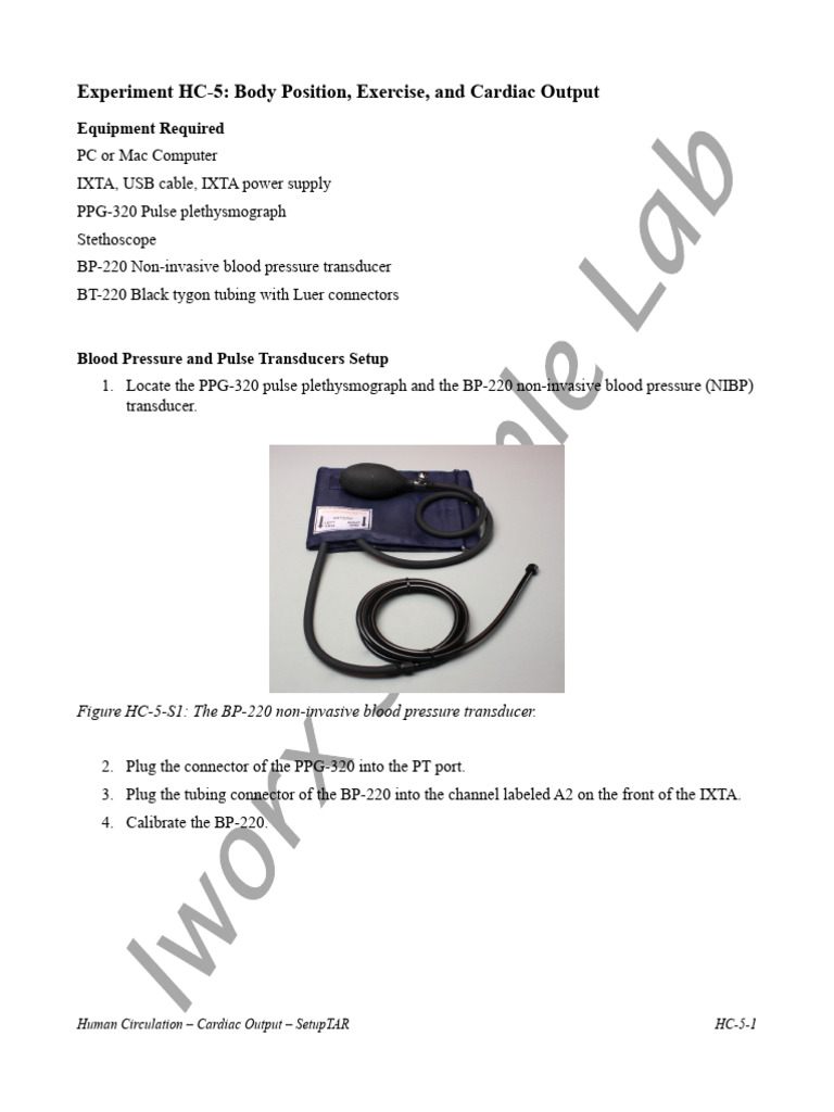 Cardiac Output | Download Free PDF | Blood Pressure | Diastole