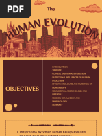 Human Evolution Chart | PDF | Homo | Human Evolution