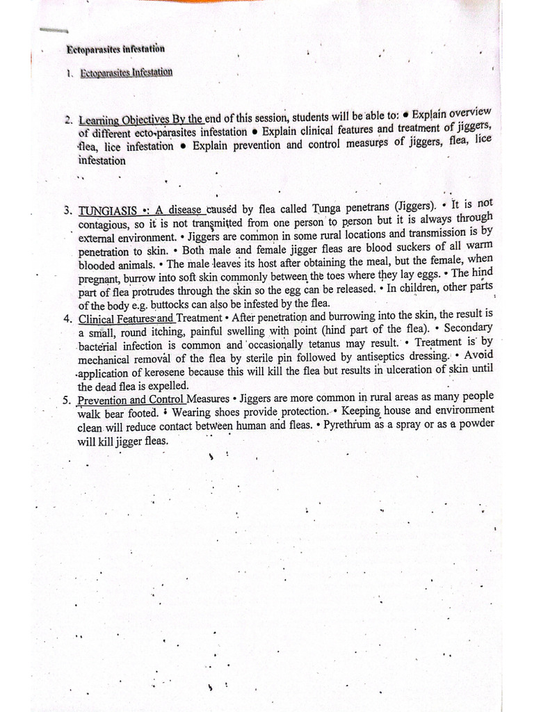 Parasitology Ectoparasite Infestation | PDF