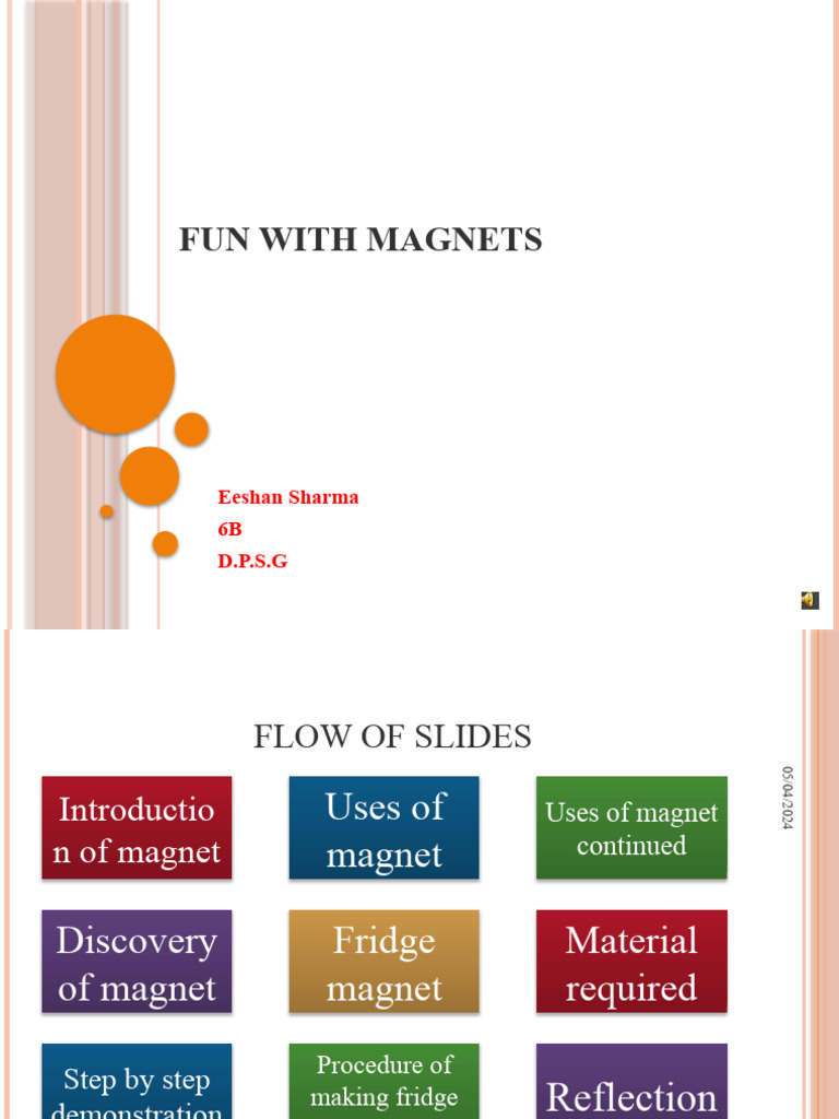 Holiday Homework Real | PDF | Magnet | Magnetism