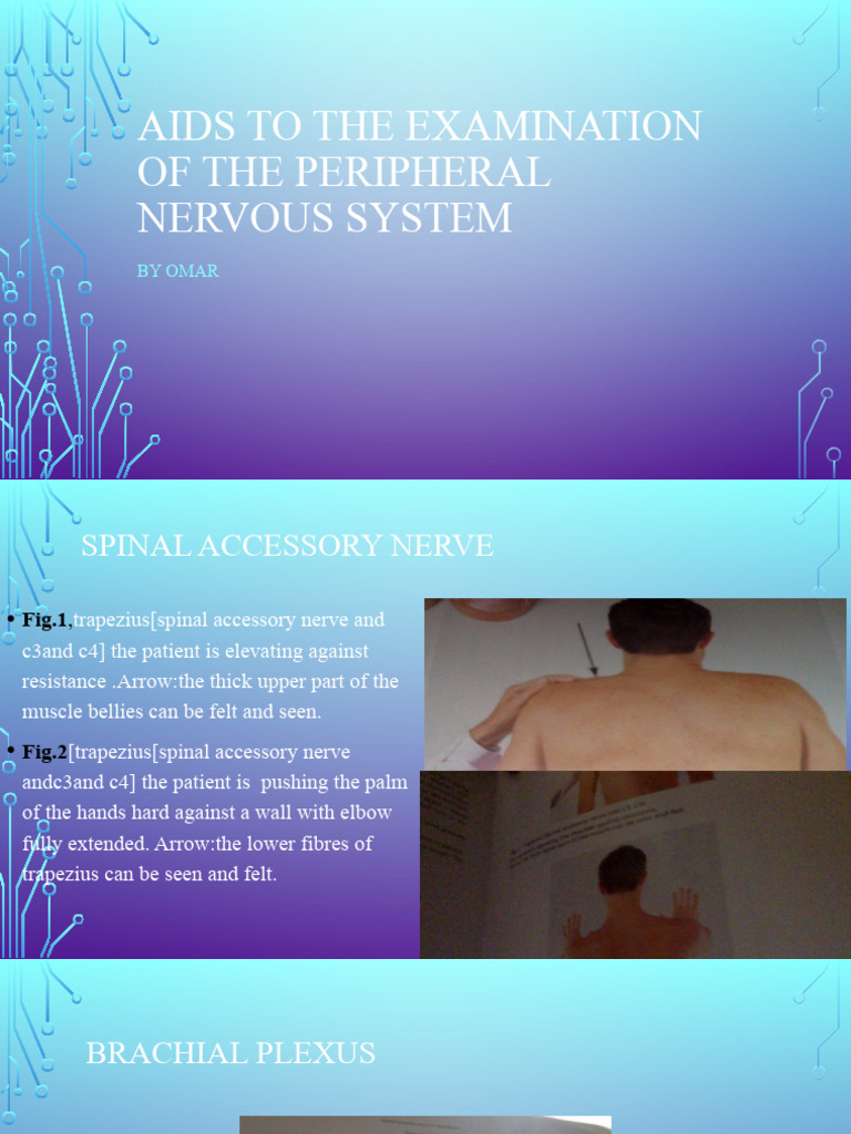 Examination Aids for Peripheral Nerves | PDF