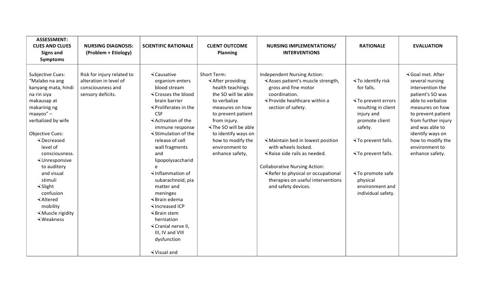 NCP Risk For Injury | PDF