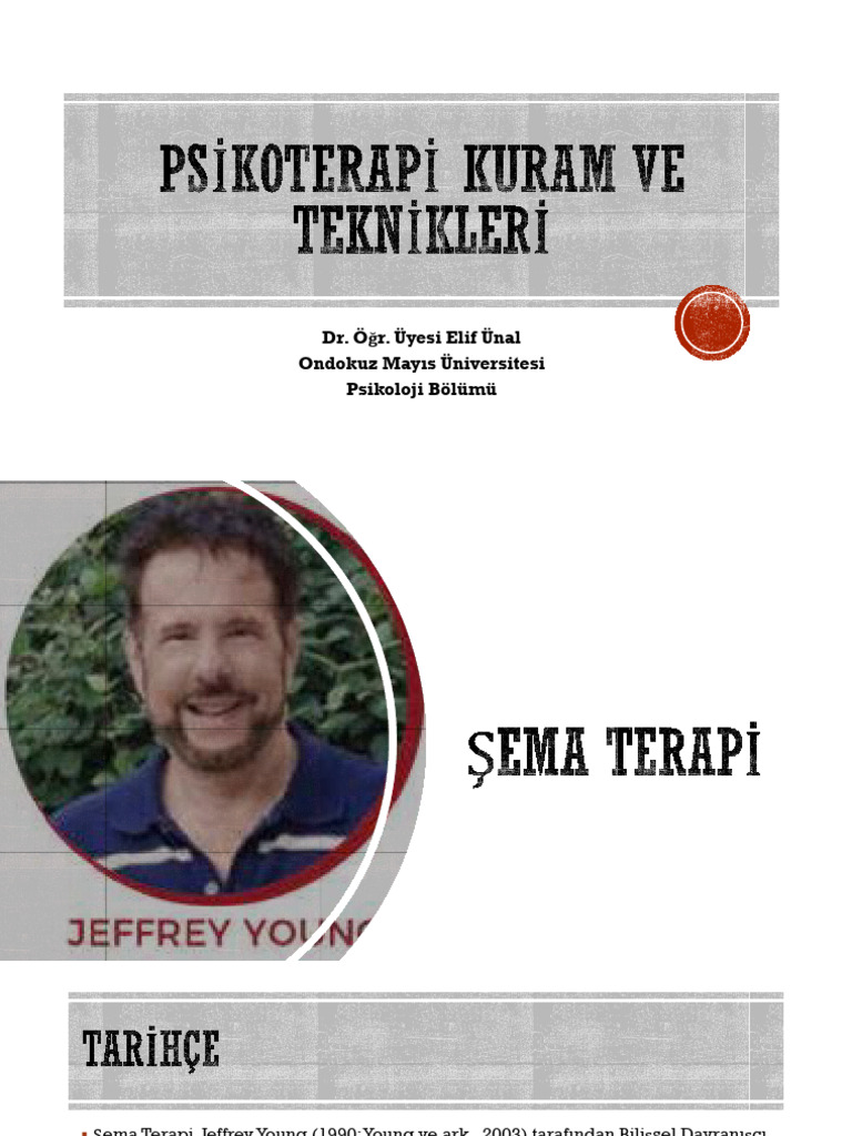 Şema Terapi | PDF