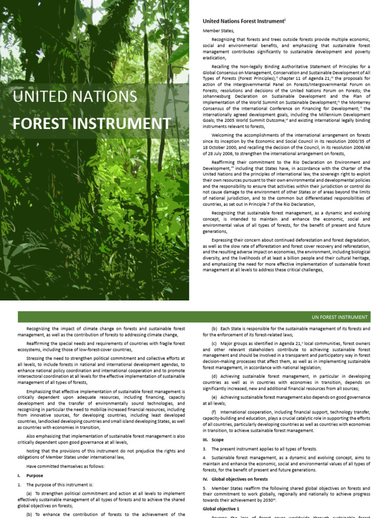 UN Forest Instrument | Download Free PDF | Sustainability | Forestry