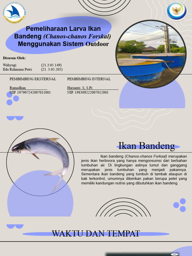 Pemeliharaan Larva Ikan Bandeng Outdoor | PDF | Kesehatan Holistik