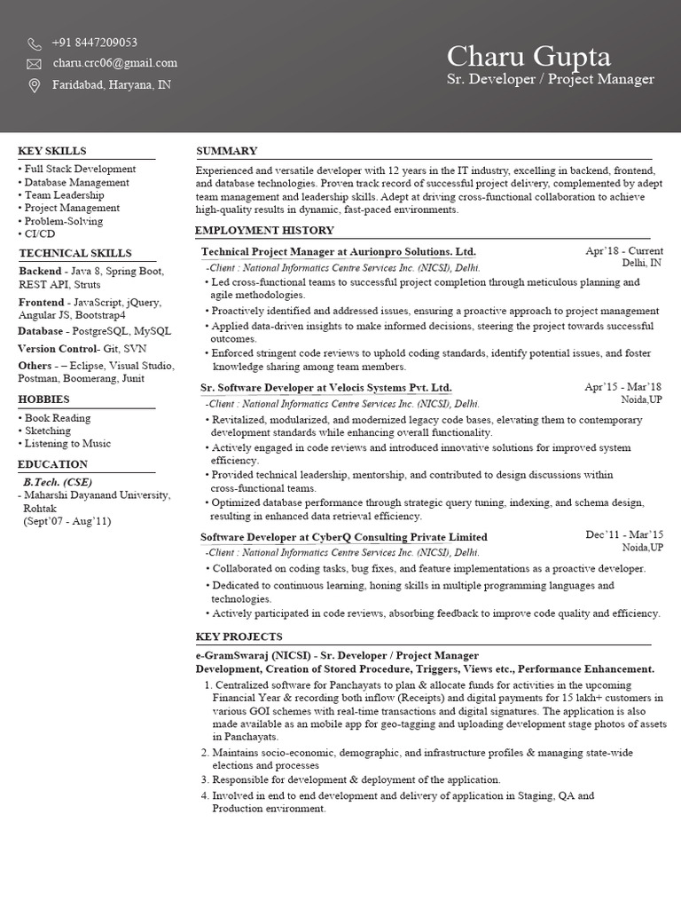 CV CV | PDF | Databases | Information Technology Management