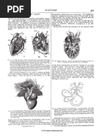 Circulatory System of Frog | PDF | Heart | Atrium (Heart)