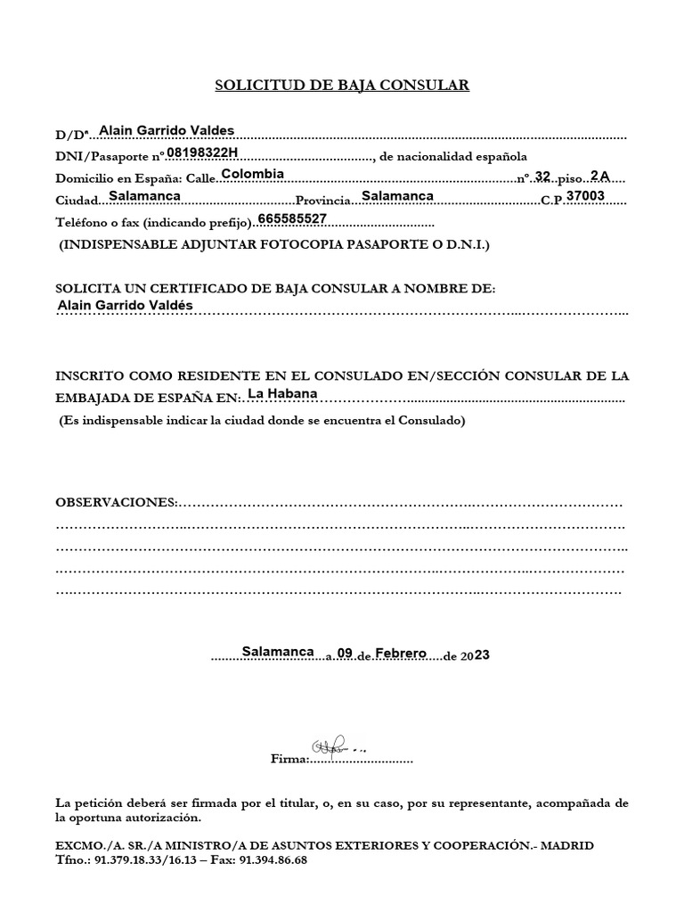 Solicitud de Baja Consular | PDF | Derecho | Historia