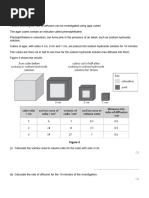 Calculation-Magnification-Qs Pack-Gcse | PDF | Micrograph | Cell (Biology)