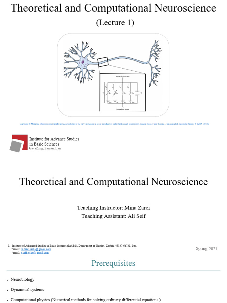 Theoretical and Computational Neuroscience-2021-Lecture1 | PDF | Axon ...