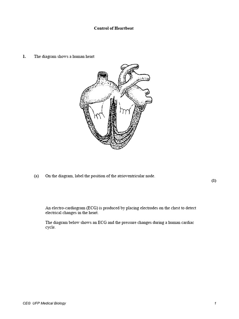 Control of Heartbeat QP | PDF | Heart | Electrocardiography