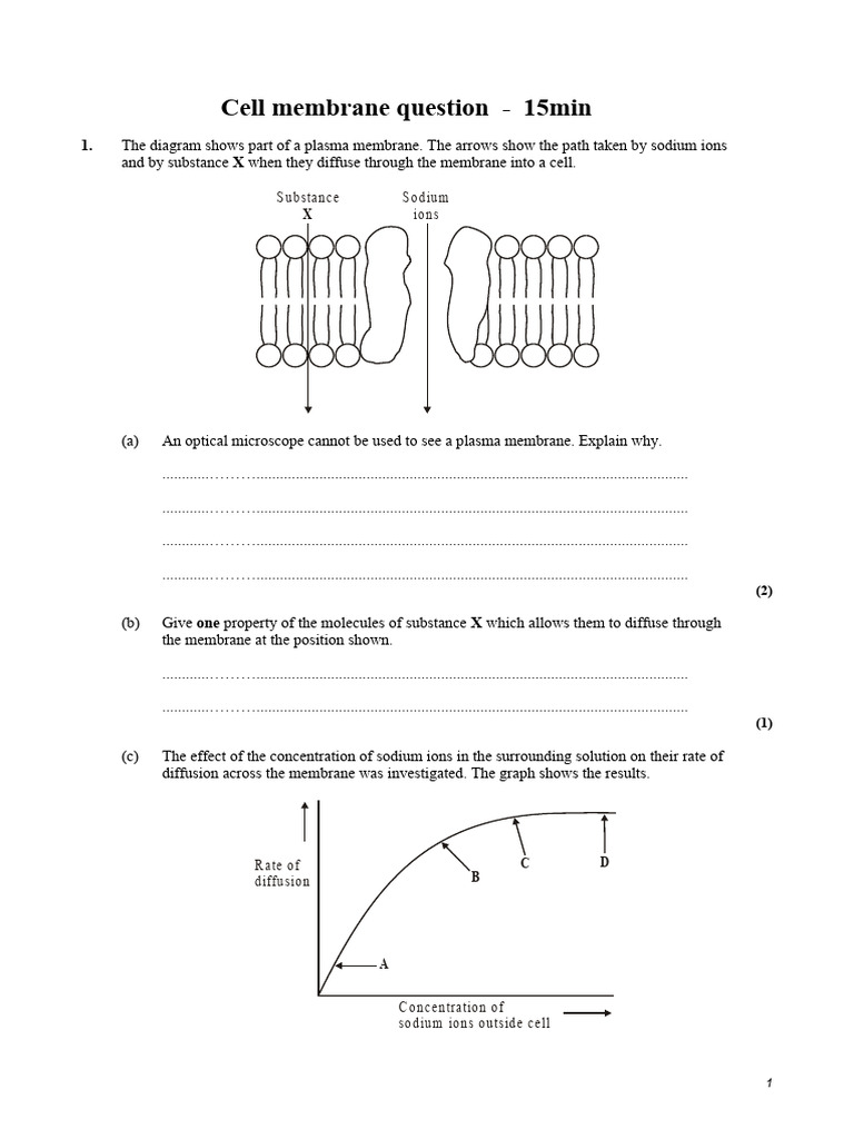 Cell Membrane QP | PDF | Cell Membrane | Diffusion