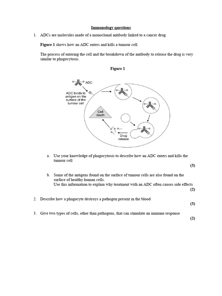 Immunology Practice Questions | PDF | Hiv | Low Density Lipoprotein
