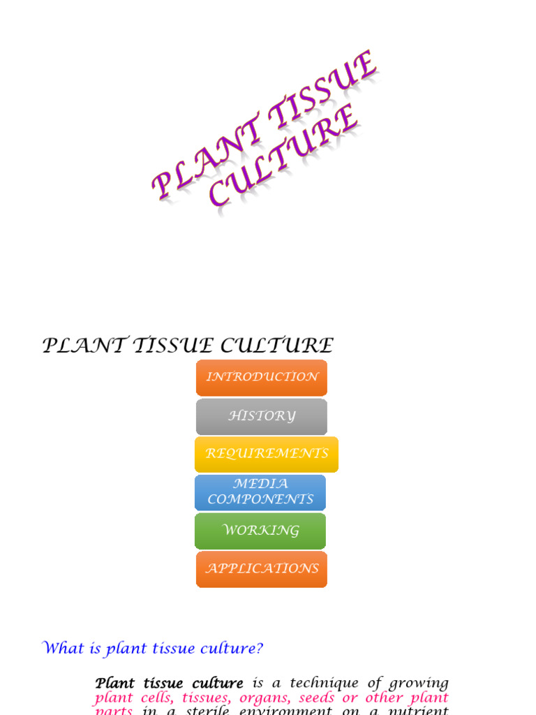 PTC Introduction and Media Composition | PDF | Plant Hormone | Nutrients