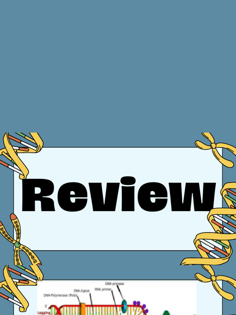 Mutations Pdf Mutation Gene