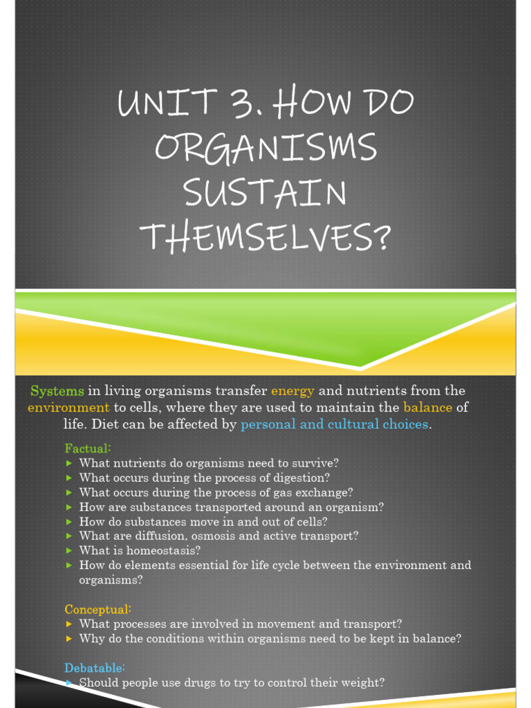 IB MYP - Unit 3. How Do Organisms Sustain Themselves | PDF | Digestion ...