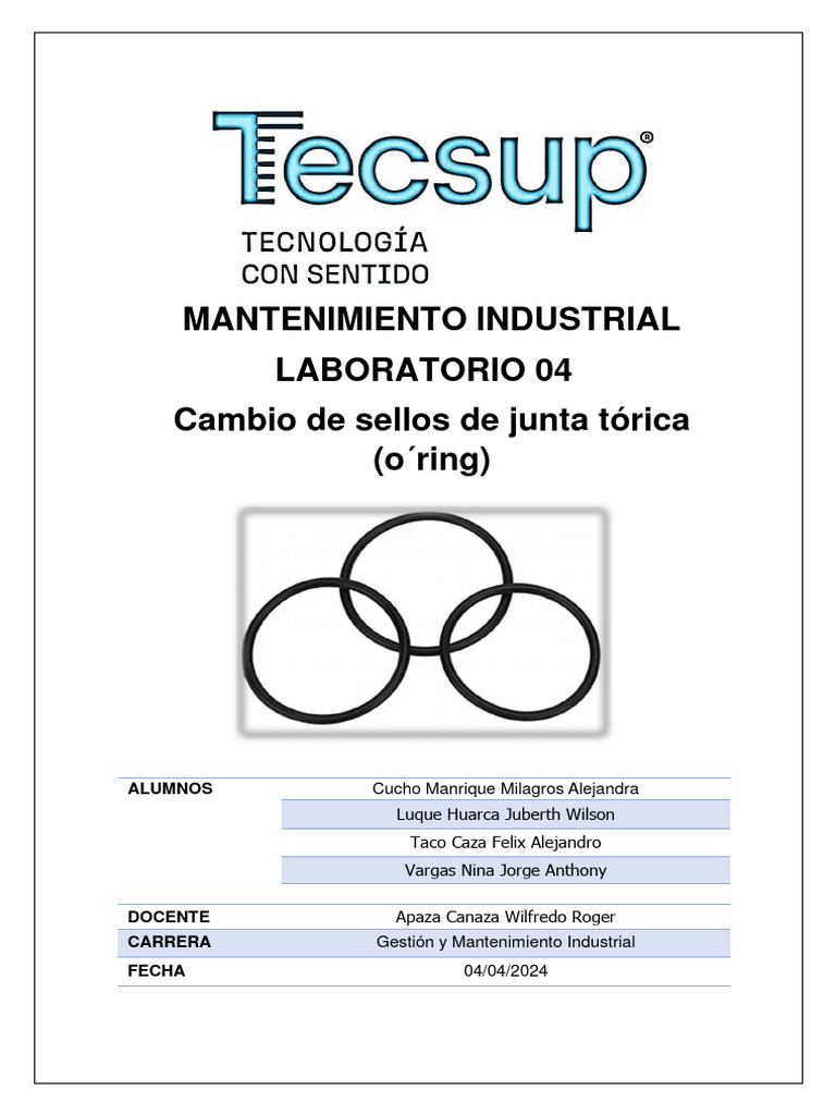 Cambio de Juntas Tóricas en Mantenimiento | PDF | Caucho natural ...