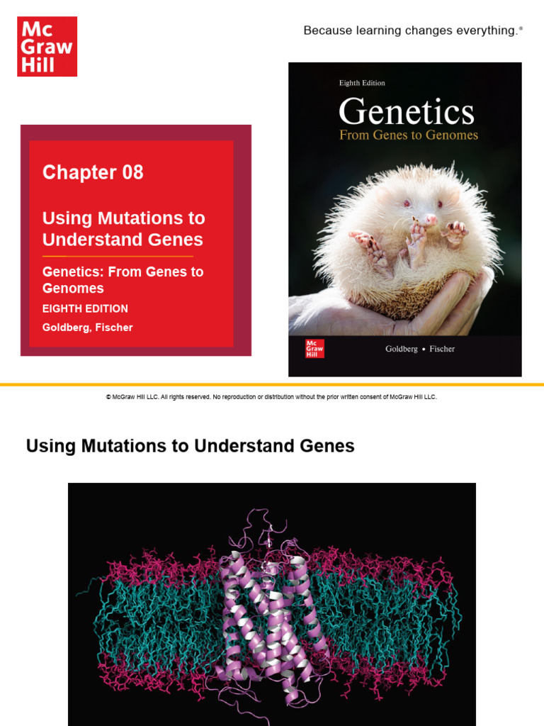 BMED 342 Lecture 8 Mutation 2 - Tagged | PDF | Gene | Mutation
