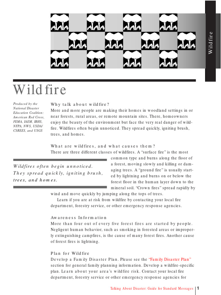 Wildfire | PDF | Wildfire | Fires