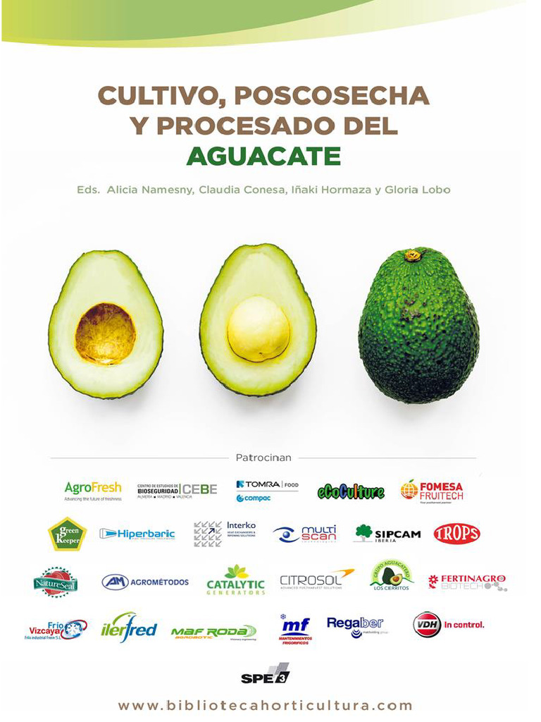 Cultivo, Poscosecha y Procesado Del Aguacate | Descargar gratis PDF | Aguacate | Agricultura