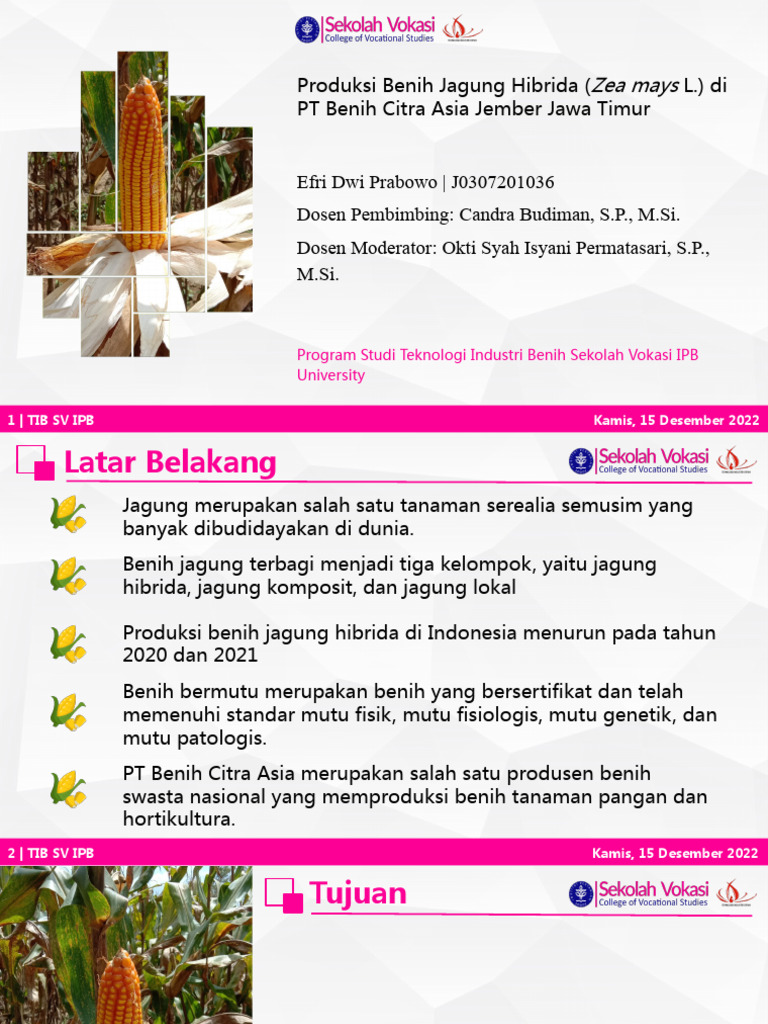 Efri Dwi Prabowo - J0307201036 - PPT Kolokium | PDF