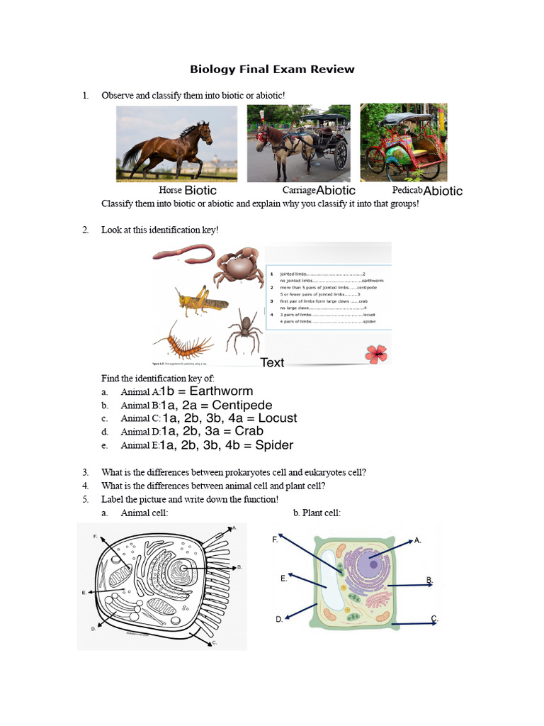 Biology Final Exam Review | PDF | Self-Improvement | Science & Mathematics