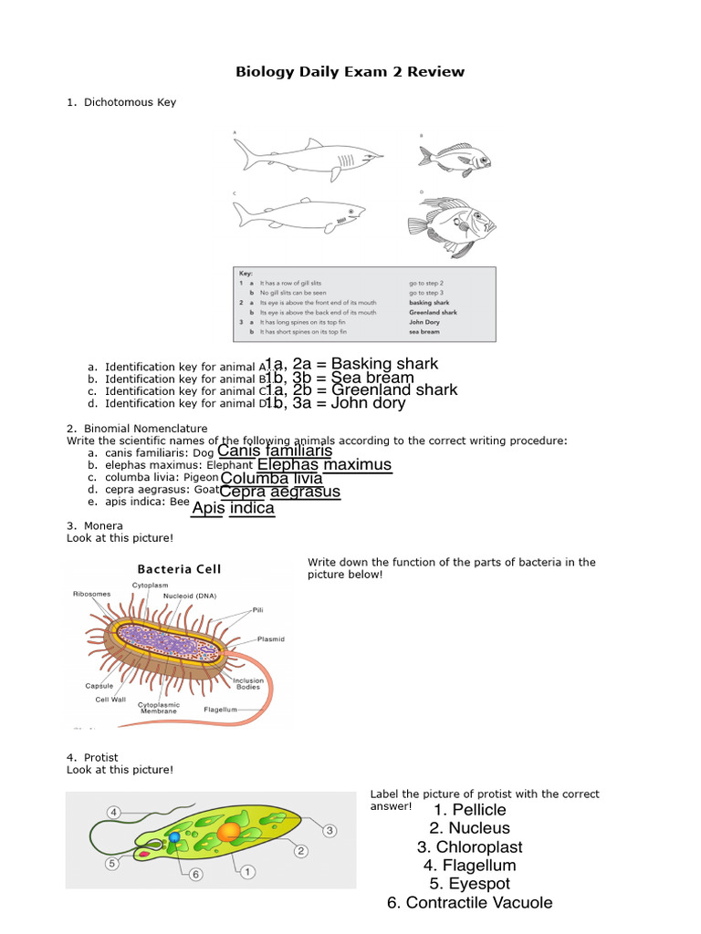Review DE 2 Biology Grade 7 | PDF