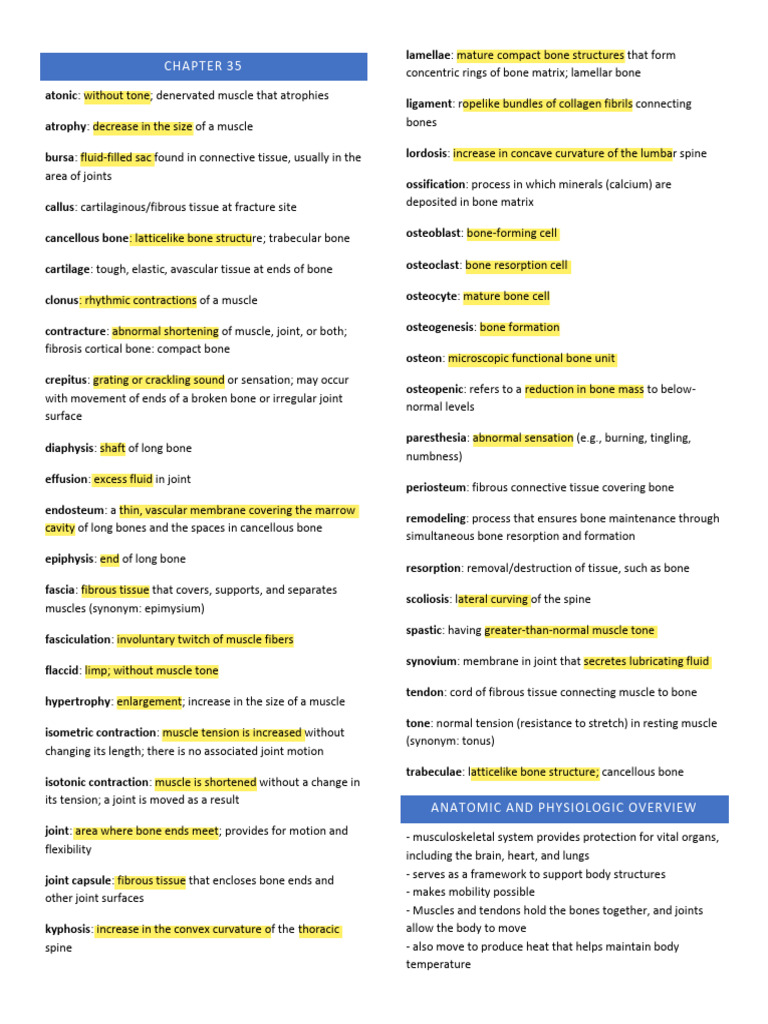 Chapter 35 Brunners and Suddarth | PDF | Bone | Osteoblast