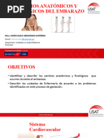 Signo de Piscacek y Cambios en el Embarazo | PDF | Útero | El embarazo