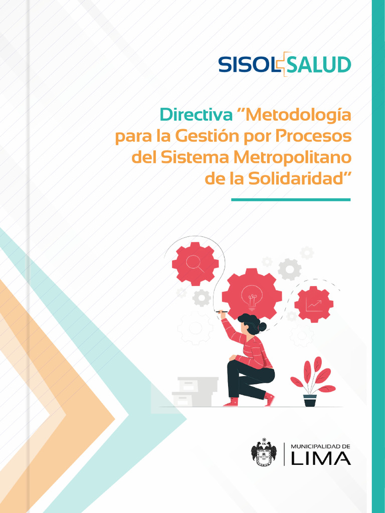 Gestión por Procesos en SISOL | PDF | Planificación | Business