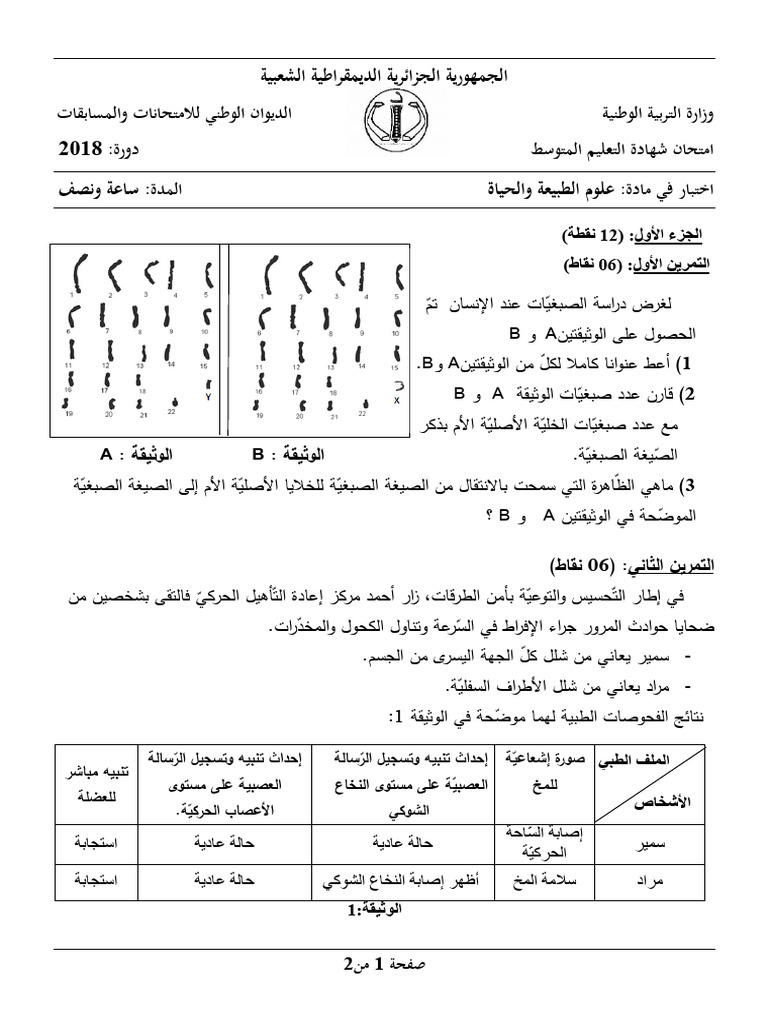 Dzexams Bem Sciences 2224216 | PDF