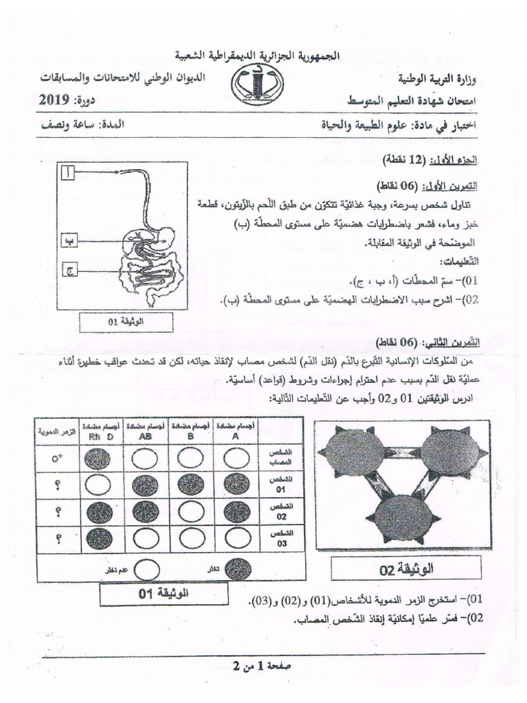 Dzexams Bem Sciences 2191929 | PDF