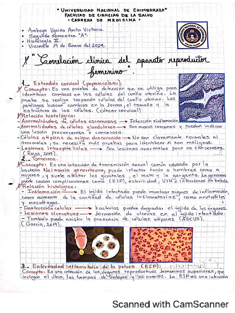Histo Pdf