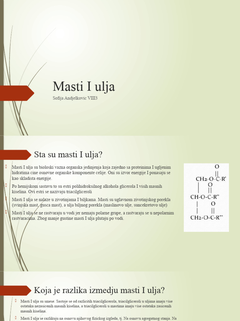 Masti I Ulja | PDF