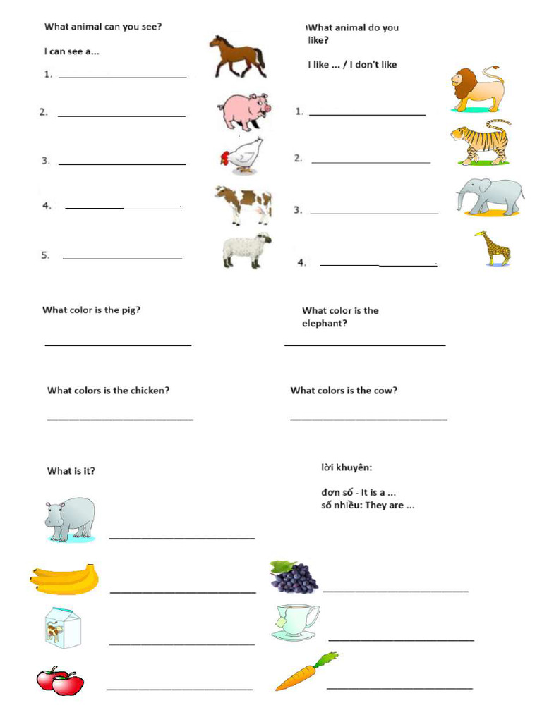 Homework Animals 1 | PDF