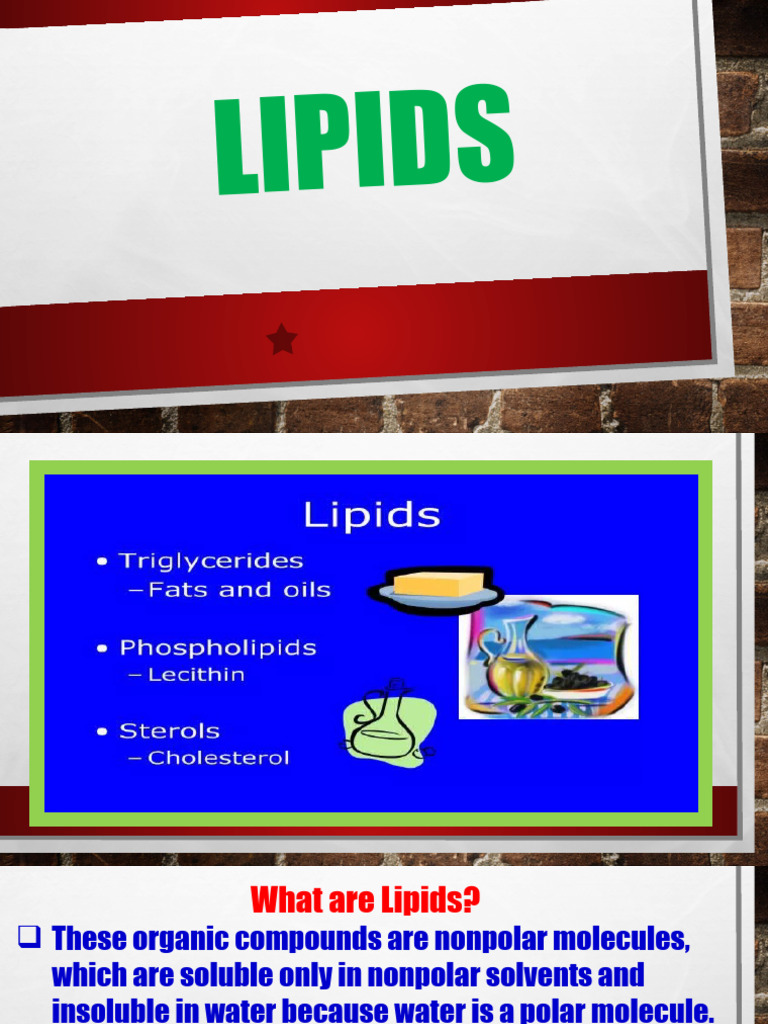 Understanding Lipids: Types and Functions | PDF | Lipid | Fatty Acid
