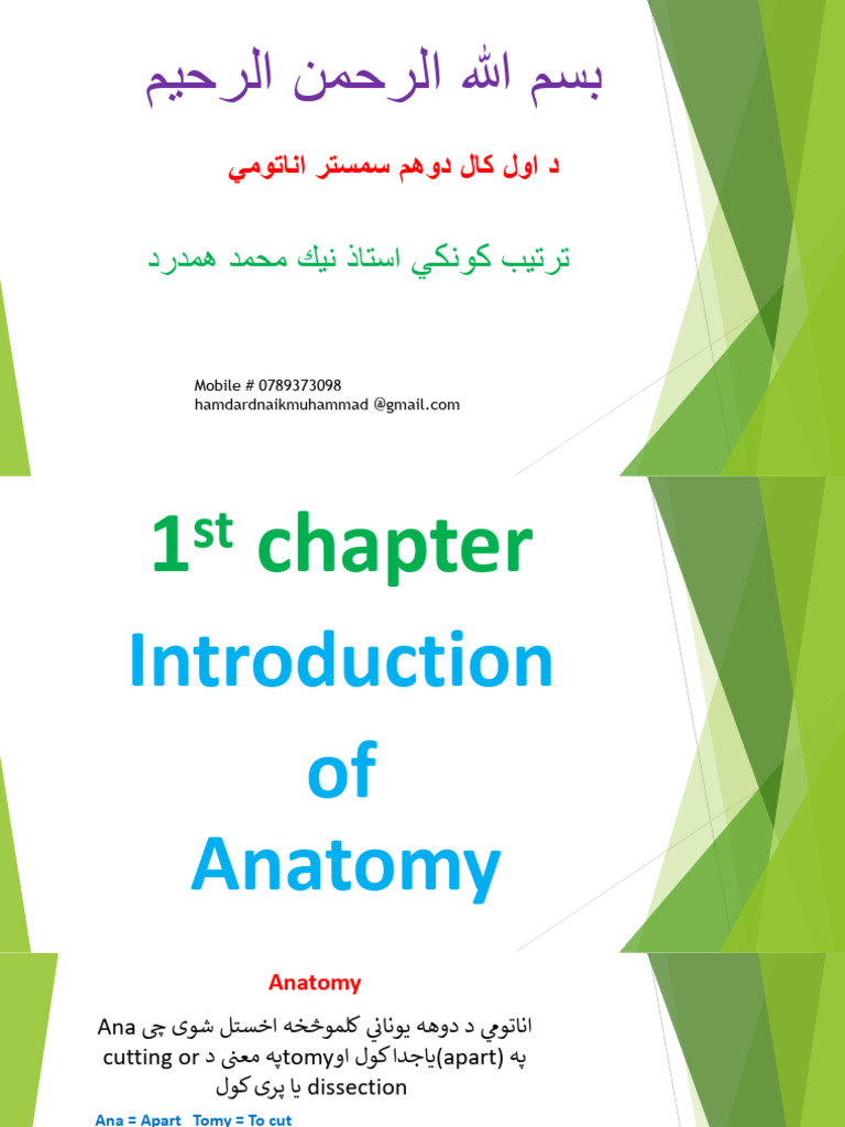 1..... 1rst Year 2nd Semister | PDF | Anatomical Terms Of Location | Skeleton