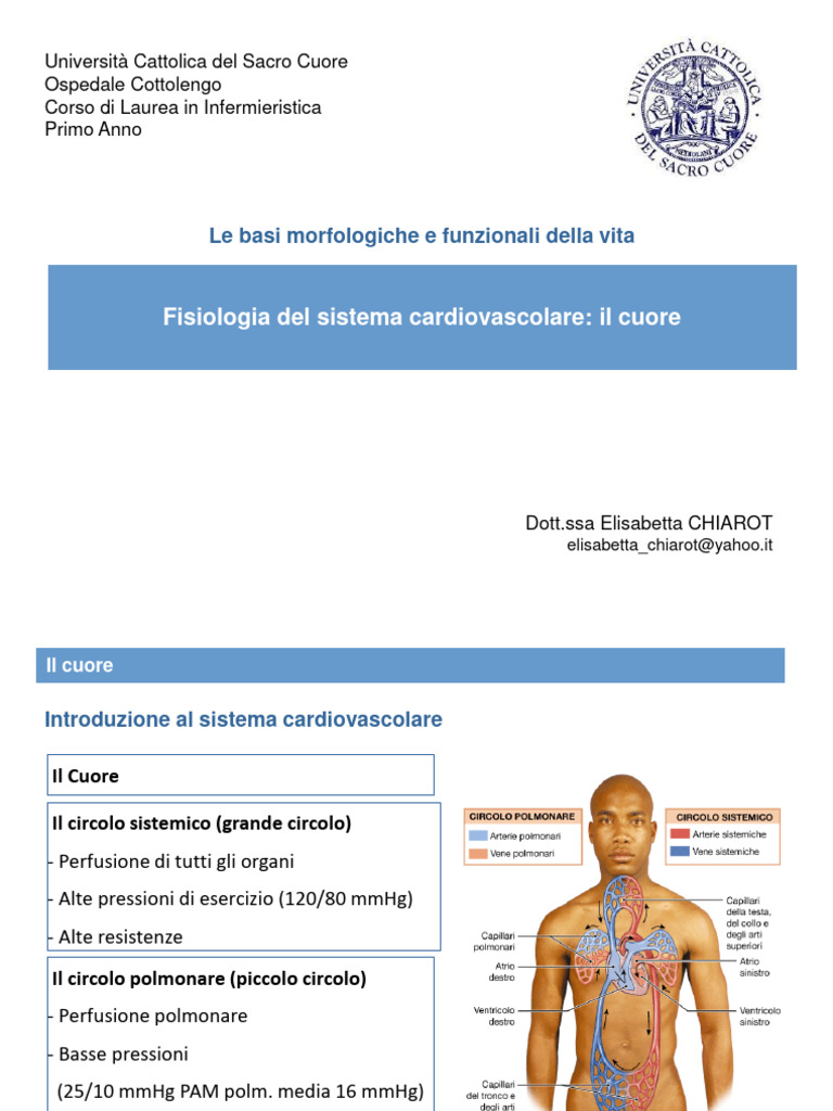 Cuore | PDF