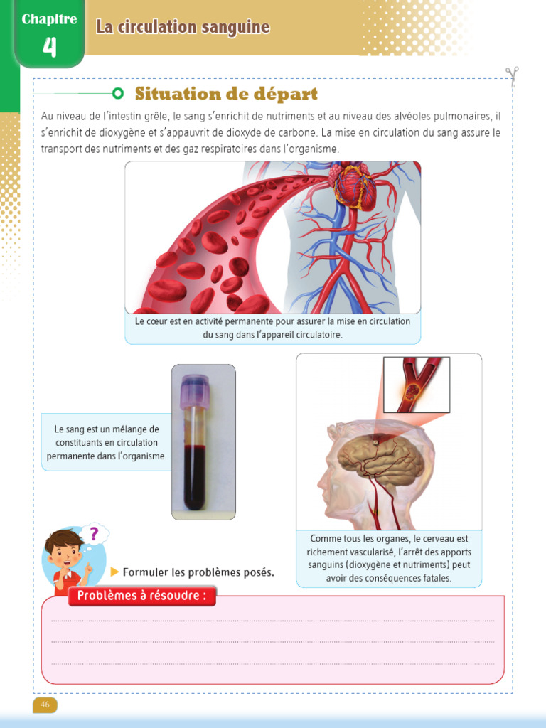 Document Clic SVT 3ac p46 | PDF