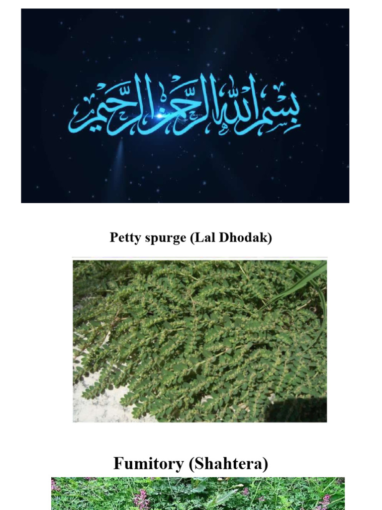 Weeds Identification | PDF